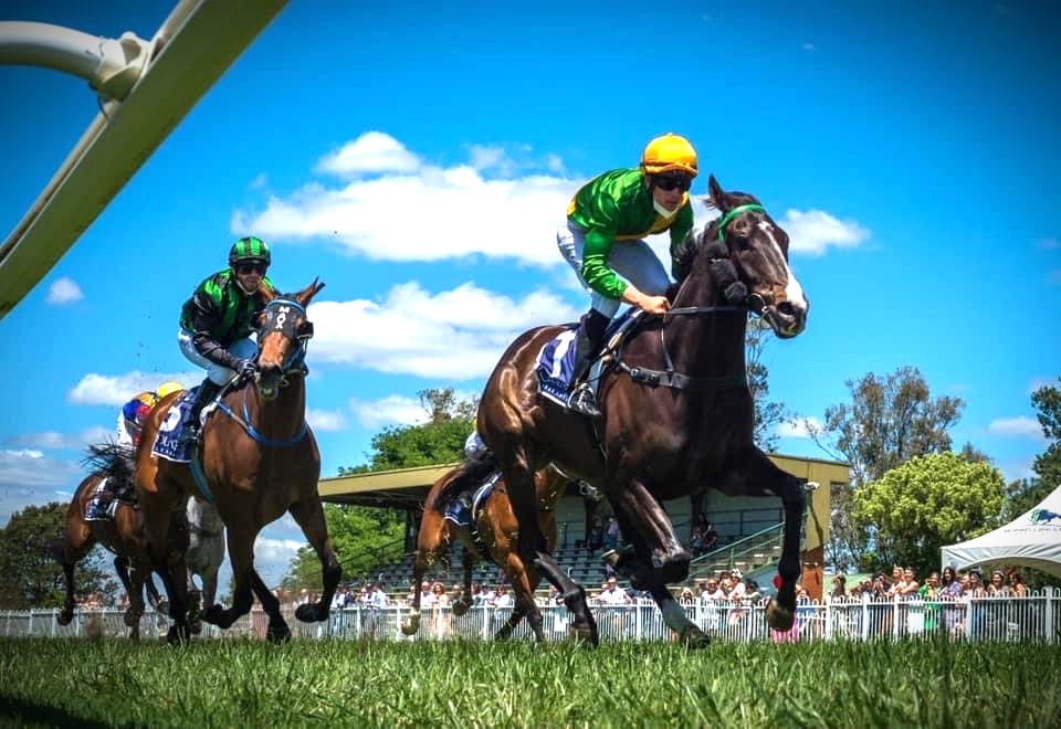 Trackwork Rider - Horse Jobs Aus