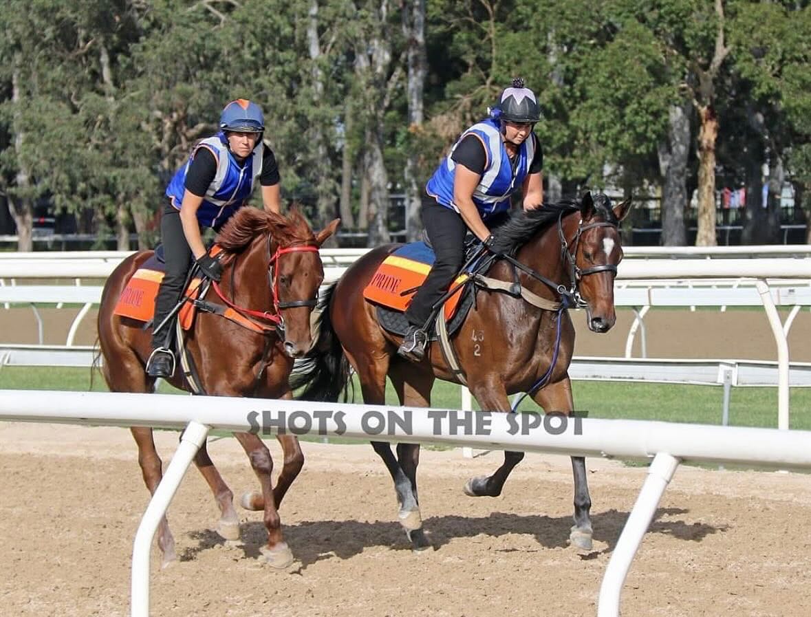 Trackwork Rider - Horse Jobs Aus