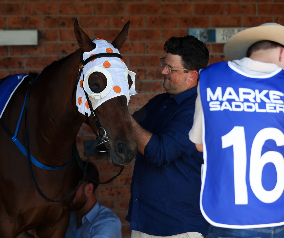 Employer Spotlight - Mitch Beer Racing - Horse Jobs Aus