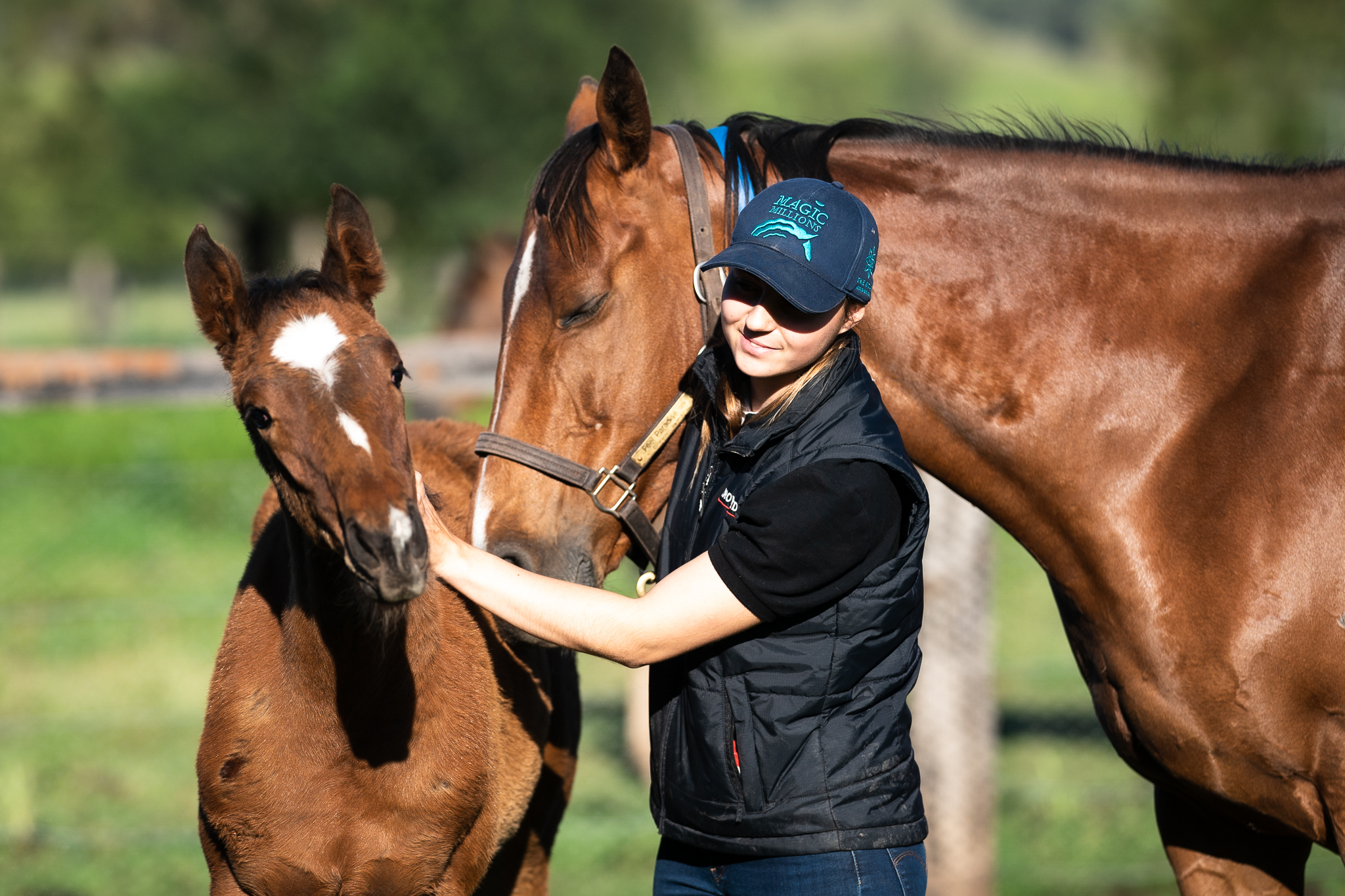Foal Attendant - Horse Jobs Aus