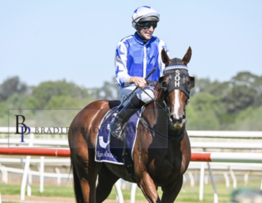 Stable hand - Horse Jobs Aus