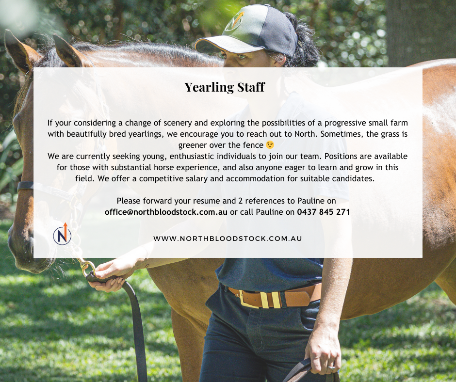 Yearling Staff - Horse Jobs Aus